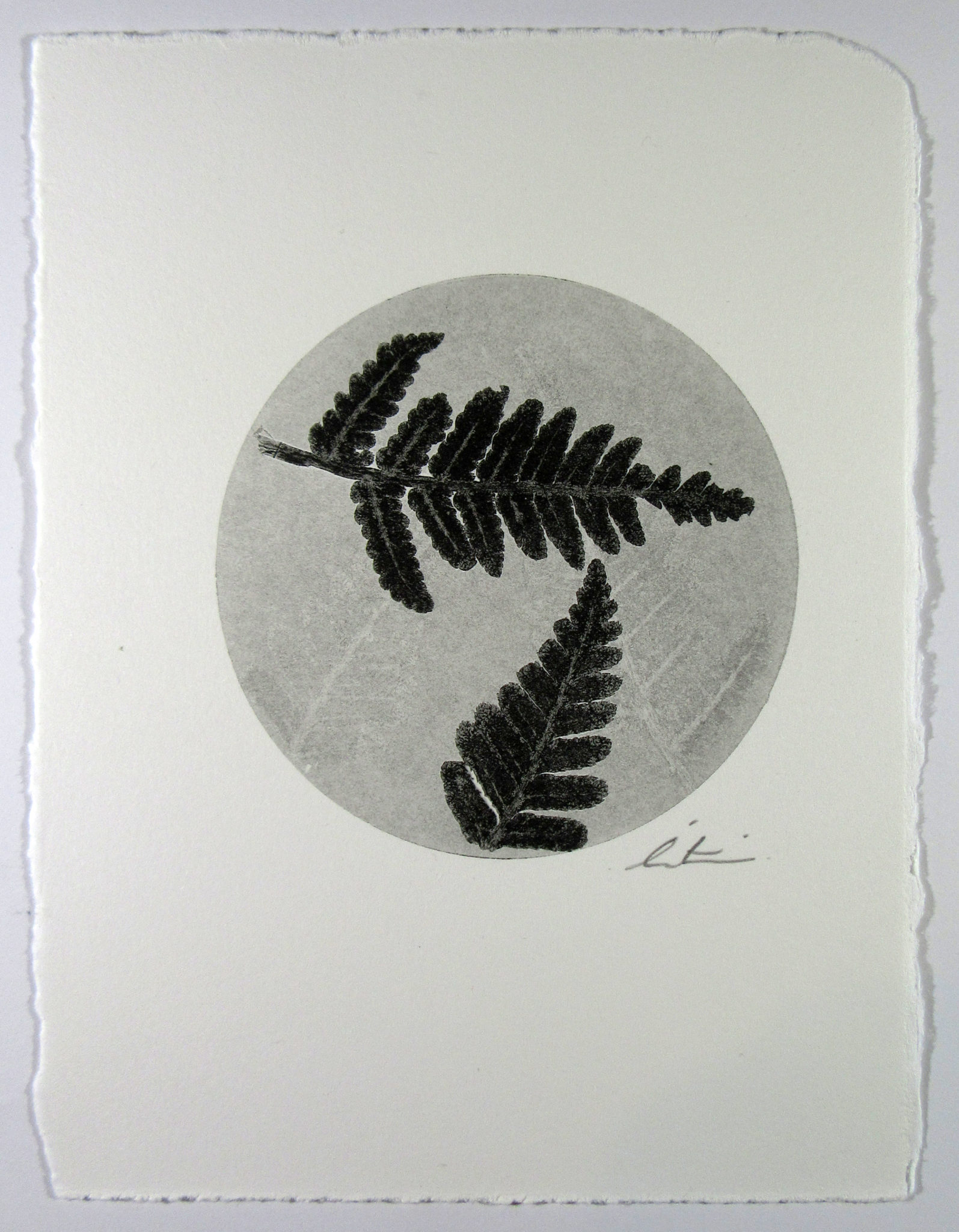 Fern Monoprints - Quint's Prints