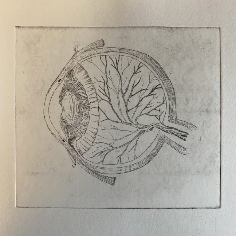 Anatomical Eye Prints - Quint's Prints