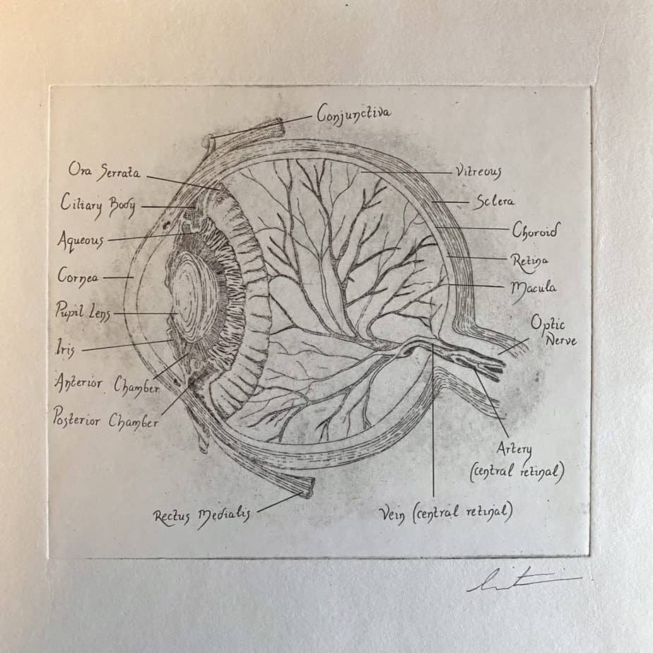 Original Prints - Quint's Prints
